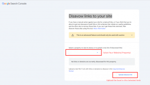 How to Use the Google Disavow Tool to Improve SEO in 2025