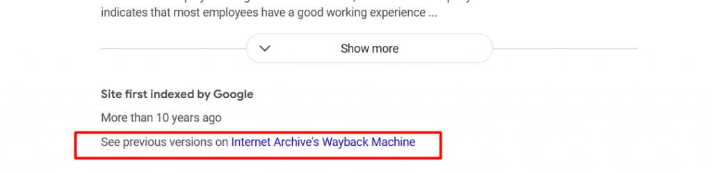 What Are Google Cache Websites & How to View Them?